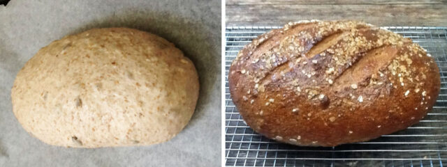 Homemade Multigrain Bread - Tales From The Kitchen Shed