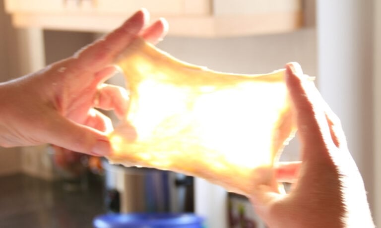 Brötchen (German Bread Rolls) - Tales From The Kitchen Shed