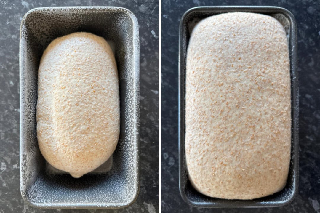 Wholemeal Bread - Tales From The Kitchen Shed