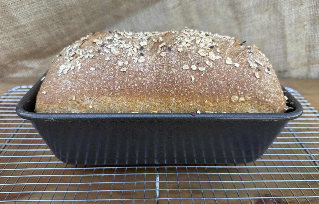Wholemeal Bread - Tales From The Kitchen Shed
