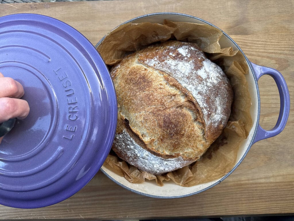 No Knead Dutch Oven Bread (Le Creuset) - Tales From The Kitchen Shed